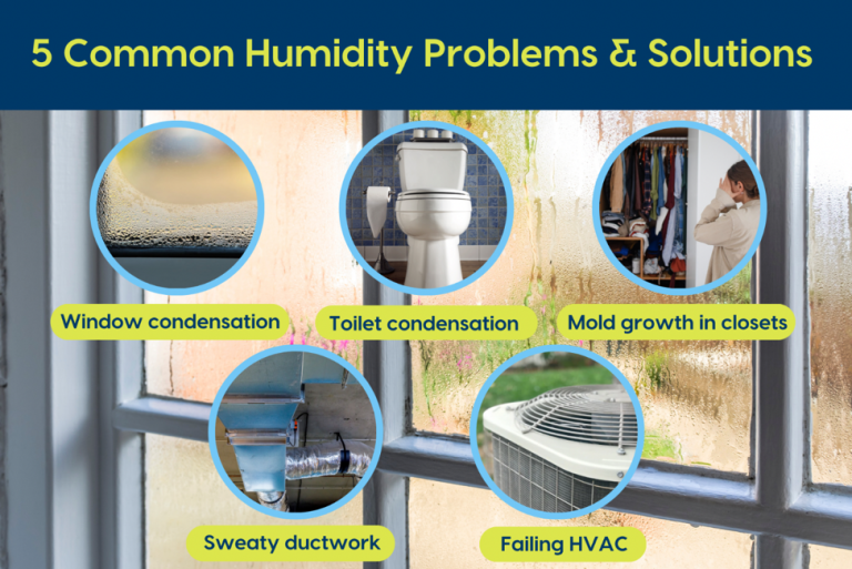 5 Common Humidity Problems and Solutions - Change the Air Foundation