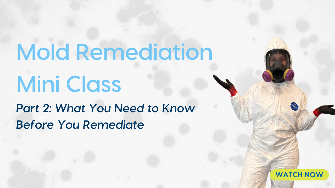 Mold Remediation Part 2: What You Need To Know Before You Remediate ...
