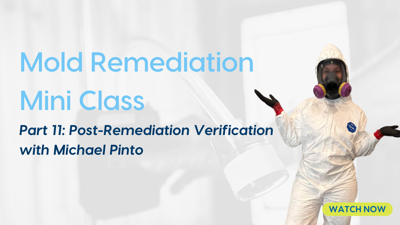 Mold Remediation Part 11: Post-Remediation Verification - Change the ...