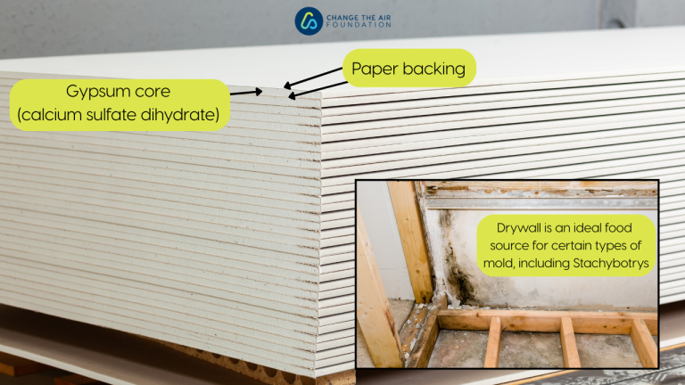 Why Can’t I Just “Spray” the Mold Away? - Change the Air Foundation