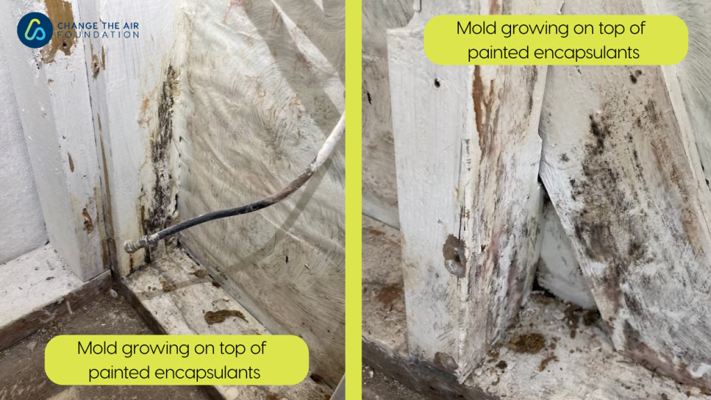 Why Can’t I Just “Spray” the Mold Away? - Change the Air Foundation